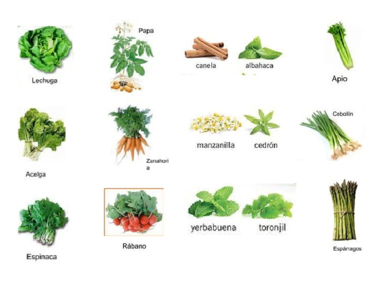 Tipos de Alimentos Comestibles | PDF