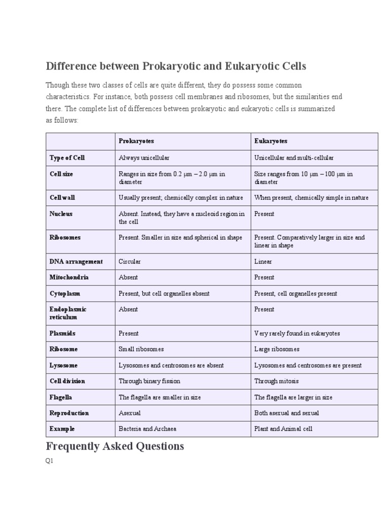 Prokaryotic vs Eukaryotic Cells Explained | PDF | Cell (Biology ...