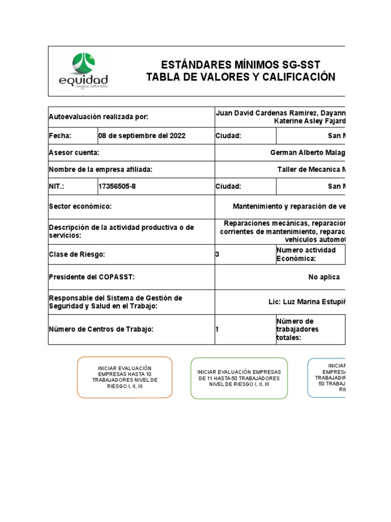 Estándares Mínimos Resolución 312 de 2019 - Grupo de Trabajo SST. | PDF | Seguridad y salud ...