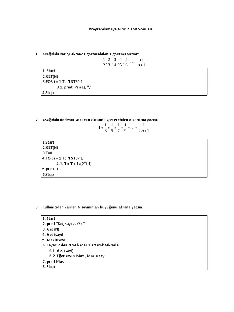 Programlamaya Giris LAB Sorular 2 | PDF