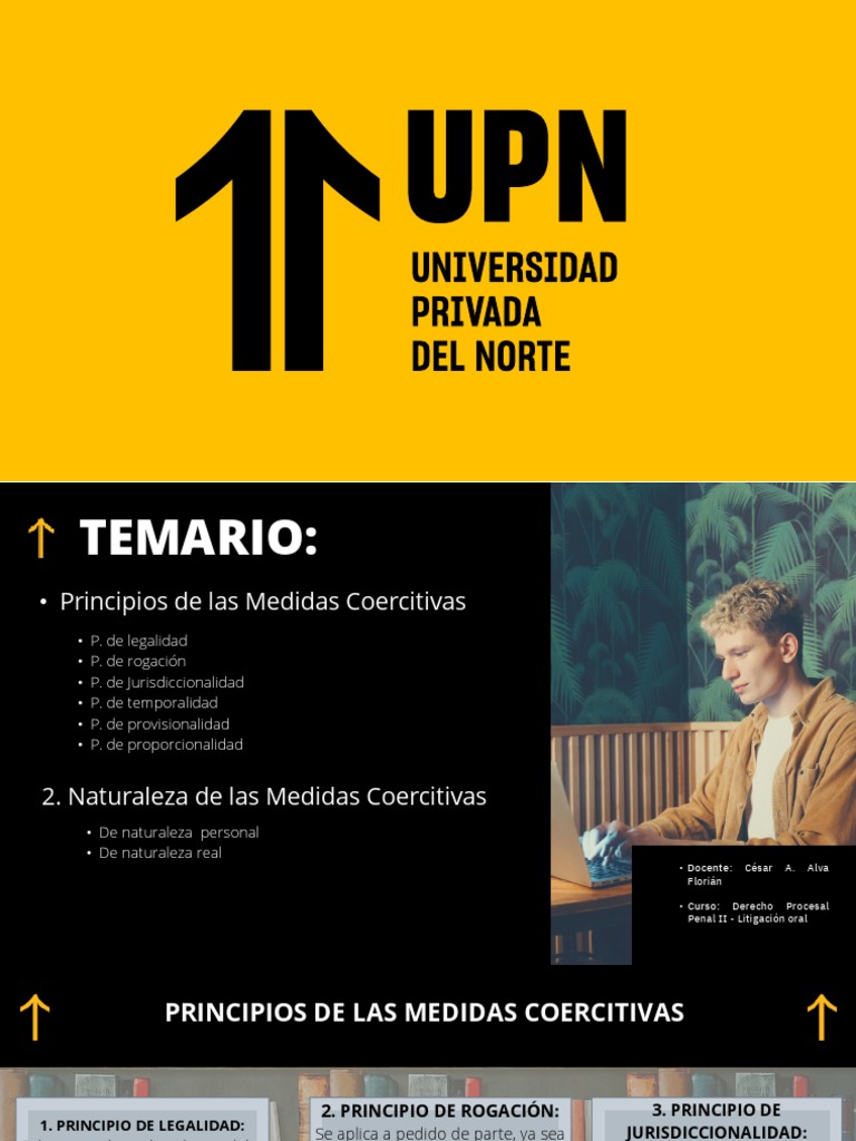 Principios de Medidas Coercitivas | PDF Principios de Medidas Coercitivas | PDF