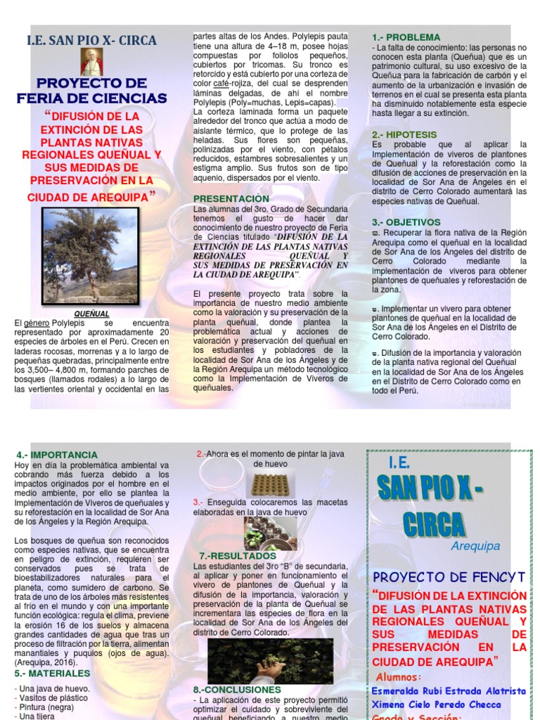 Triptico Queñau Final | PDF