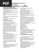 Ortografía: Palabras Agudas y Tildes | PDF | Puntuación | Coma