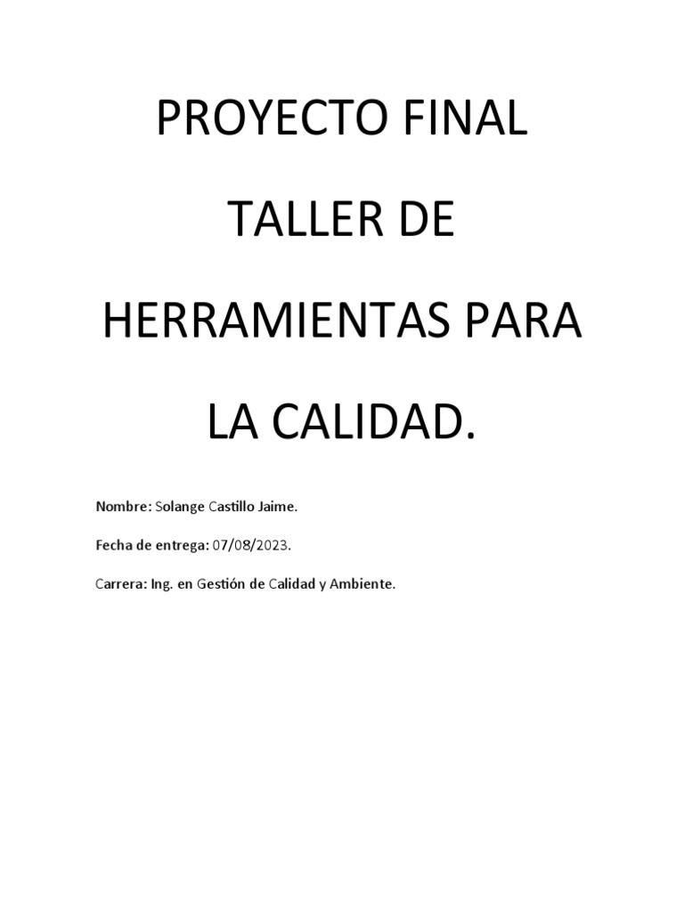 Proyecto Final Solange Castillo. | PDF | Marketing | Calidad (comercial)