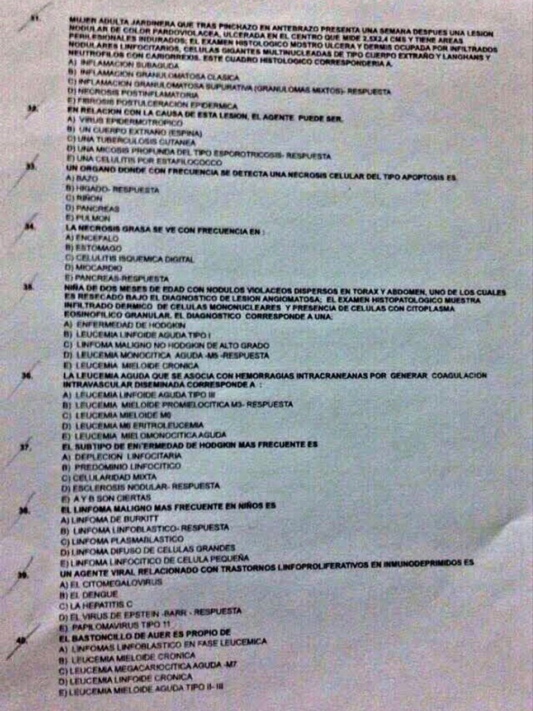 Sin Título | PDF