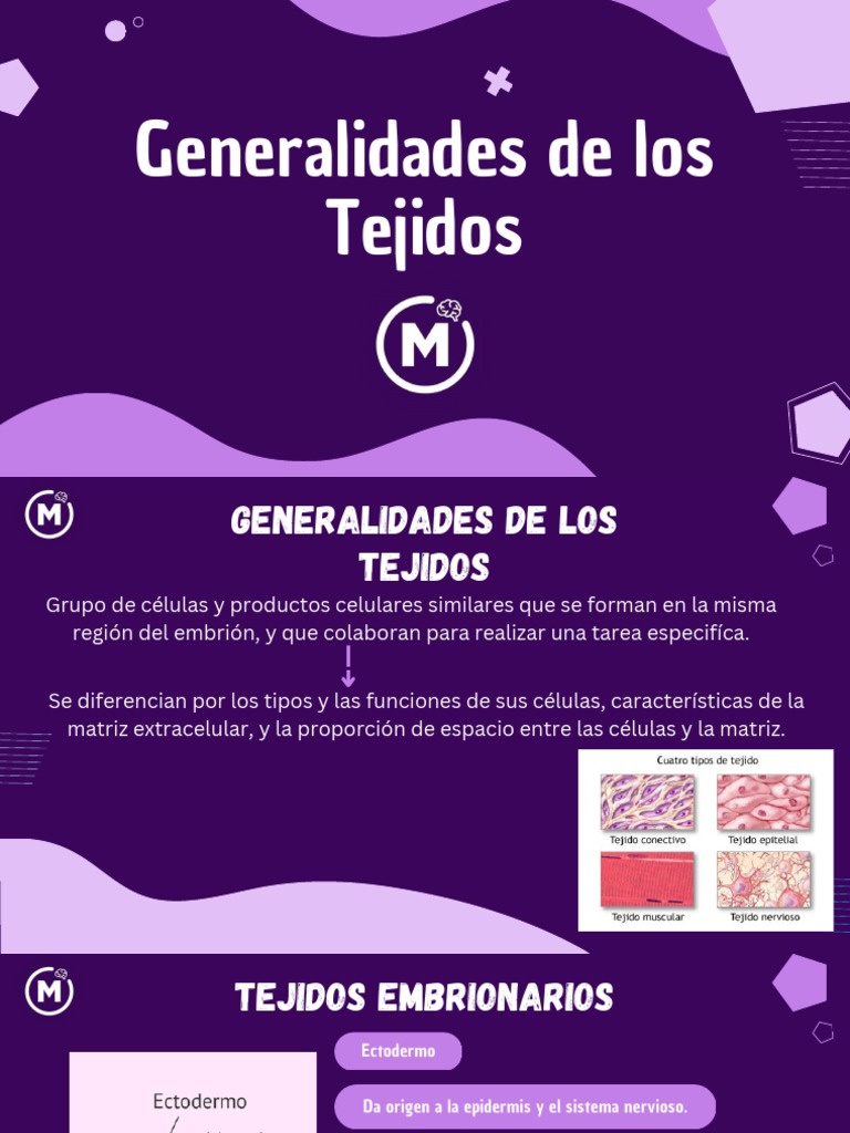 Generalidades de Los Tejidos | PDF | Cartílago | Tejido conectivo