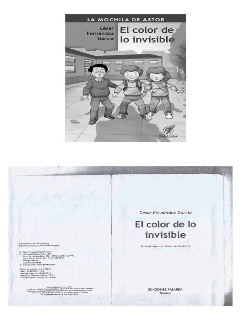 El Color de Lo Invisible | PDF