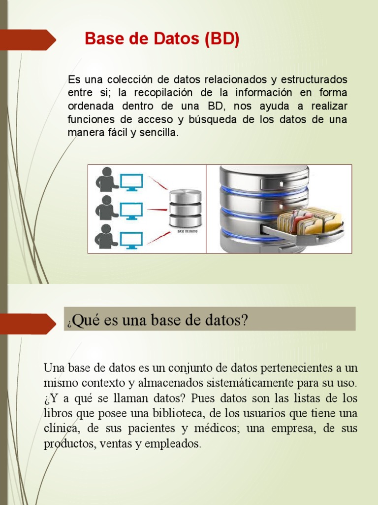 Base Datos | PDF | Bases de datos | Informática
