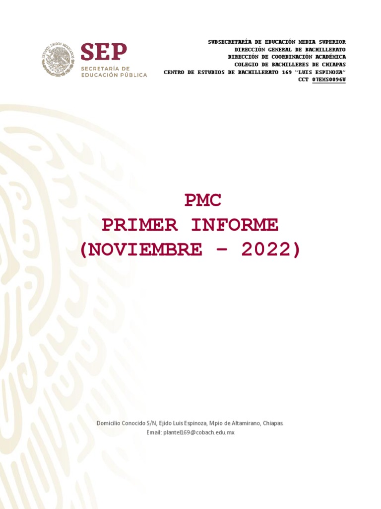 Primer-Informe - PMC - 169 - Luis Espinoza | PDF | Enseñando | Evaluación