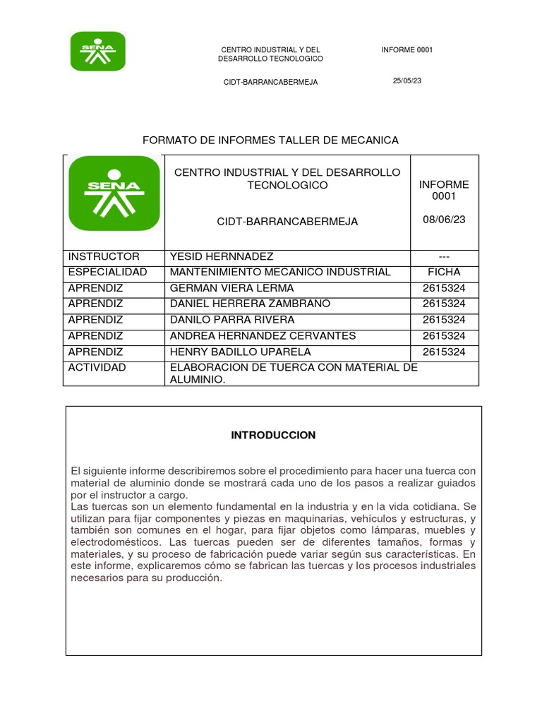 Formato de Informes | Descargar gratis PDF | Tuerca (Hardware) | Acero