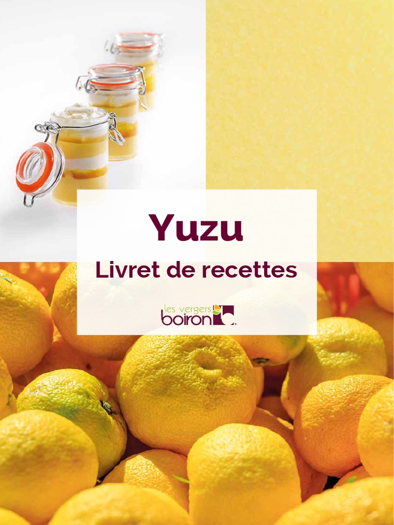 Recettes créatives au yuzu | PDF