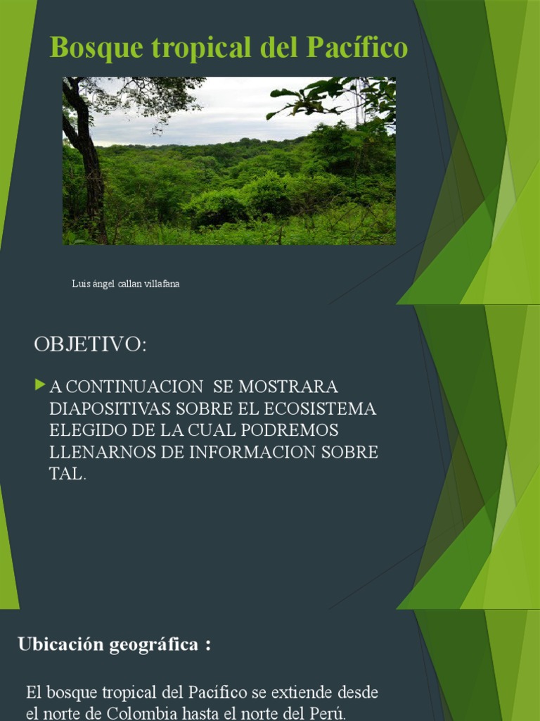 Bosque Tropical Del Pacífico | PDF | Entorno natural | Los bosques