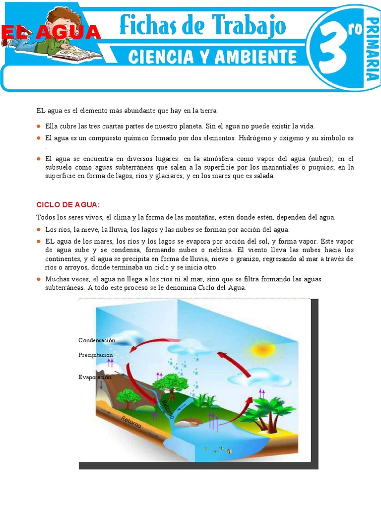 El Agua para Tercer Grado de Primeria | PDF | Agua | El ciclo del agua