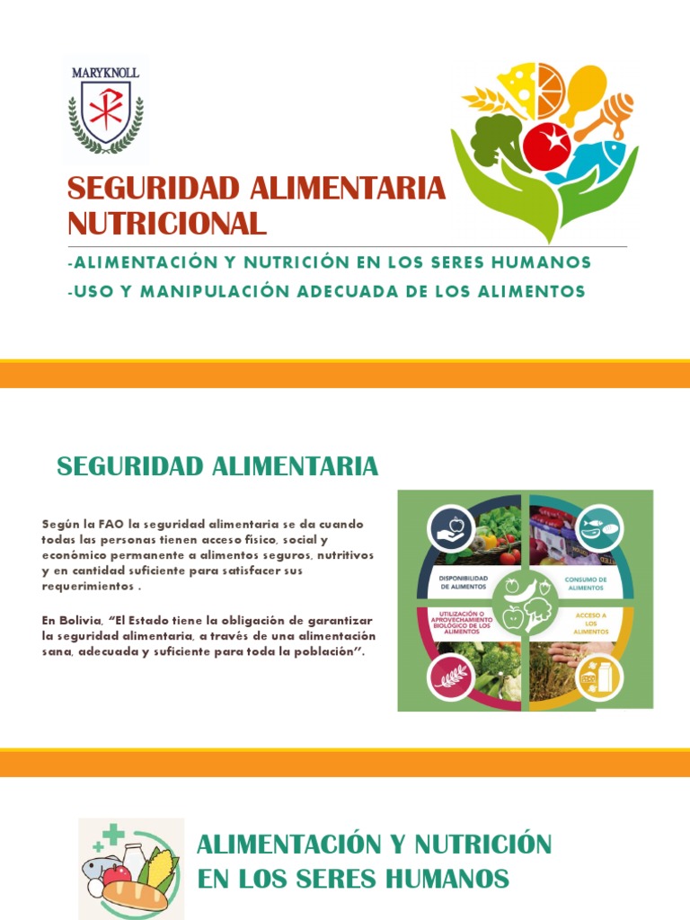 Seguridad Alimentaria Nutricional | PDF | Alimentos | Nutrientes