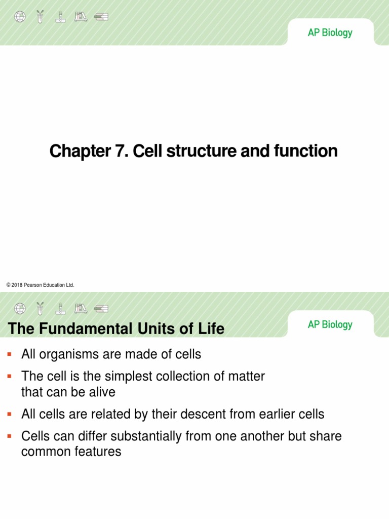 Chapter 7 Cell Structure and Function | Download Free PDF | Endoplasmic Reticulum | Cell (Biology)