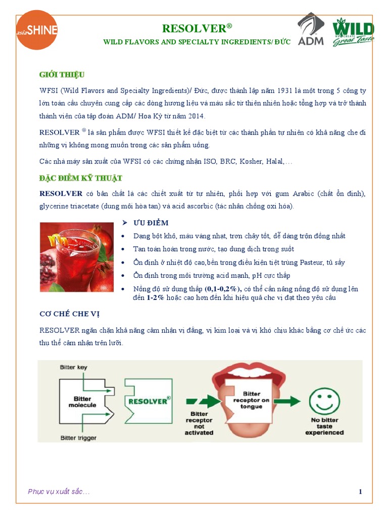 Resolver - Thu Gioi Thieu - Shine | PDF