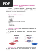 Circulação Colateral: Mecanismos, Importância Clínica e Implicações No ...