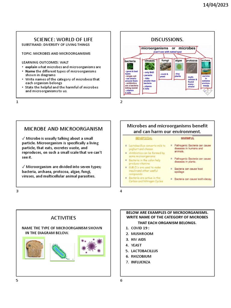 SCIENCE Year 8 World of Life | PDF | Microorganism | Laboratory Techniques