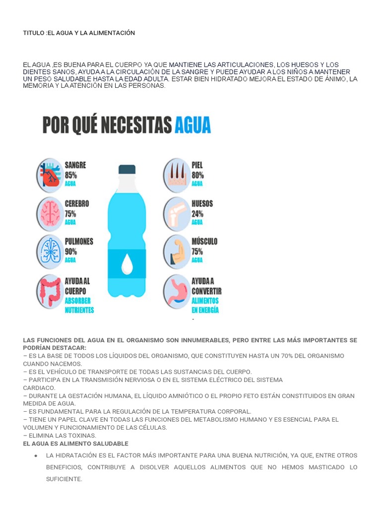 El Agua y Beneficios | PDF