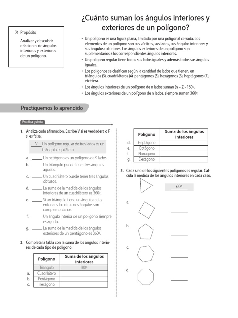 5 Matemática 7º Básico - Cuaderno de Ejercicios - Polígonos y Circulo | PDF | Pi | Triángulo