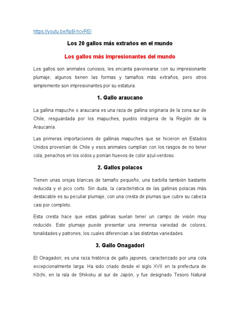 Los Gallos Más Impresionantes Del Mundo | PDF | Pollo | Aves