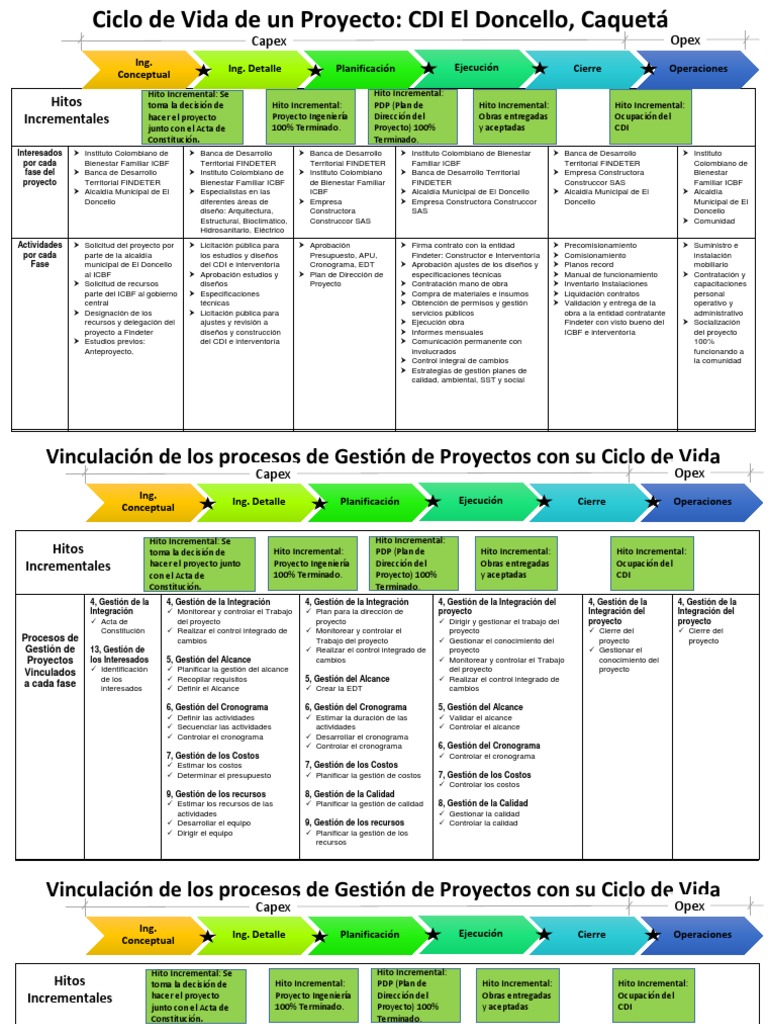 Ciclo de Vida de Un Proyecto Ejemplo | PDF | Gestión de proyectos ...