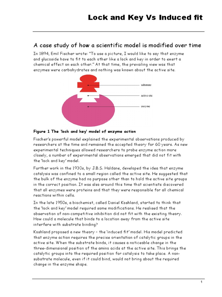 Lock+and+Key Versus Induced Fit | PDF | Active Site | Enzyme