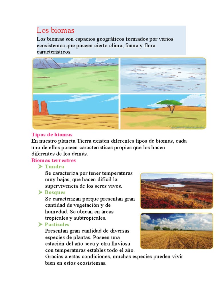 Tipos de Biomas Terrestres y sus Características | PDF