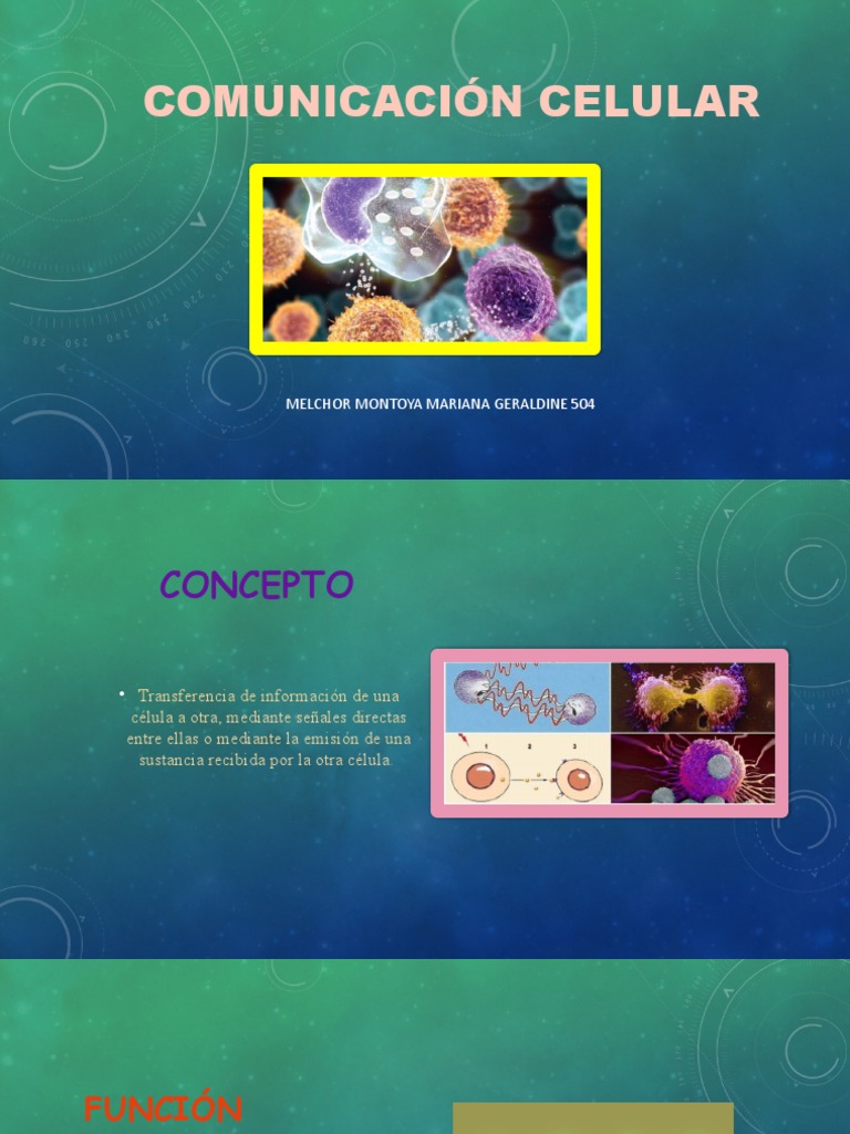 Comunicación Celular | PDF