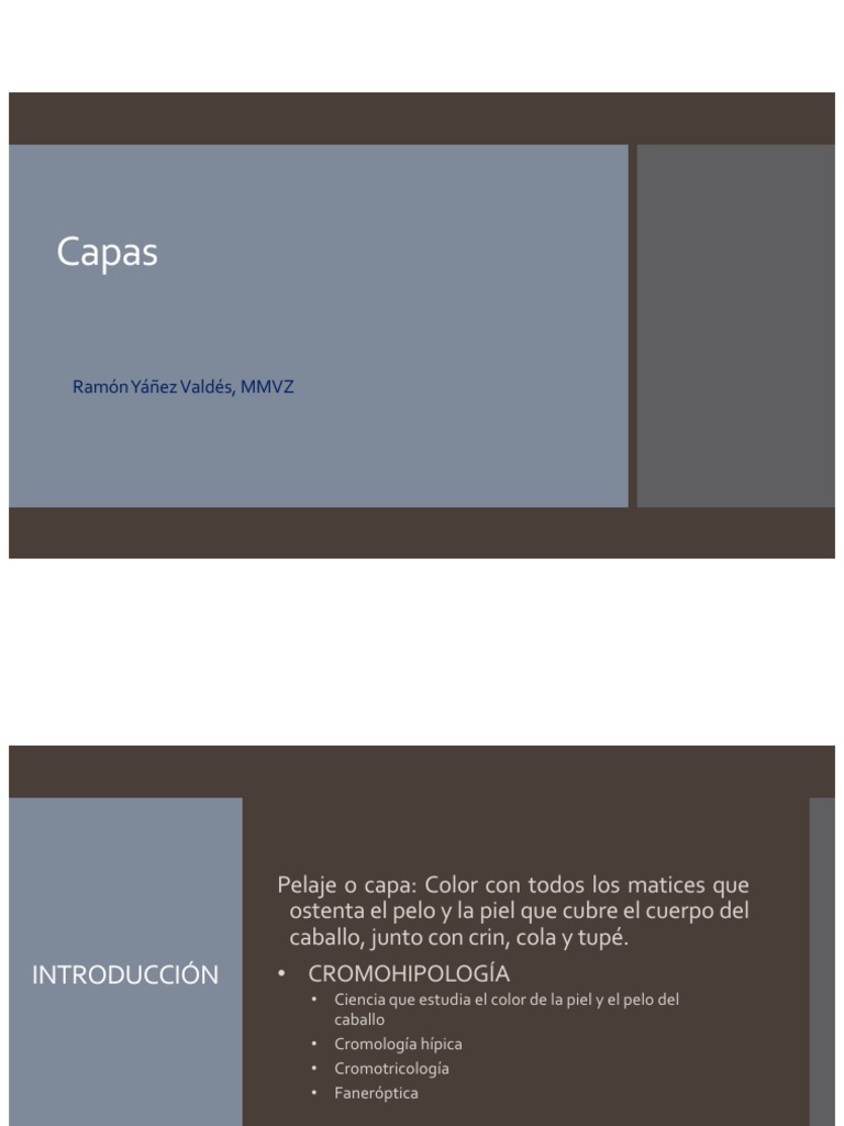 Capas | PDF | Color | Caballos