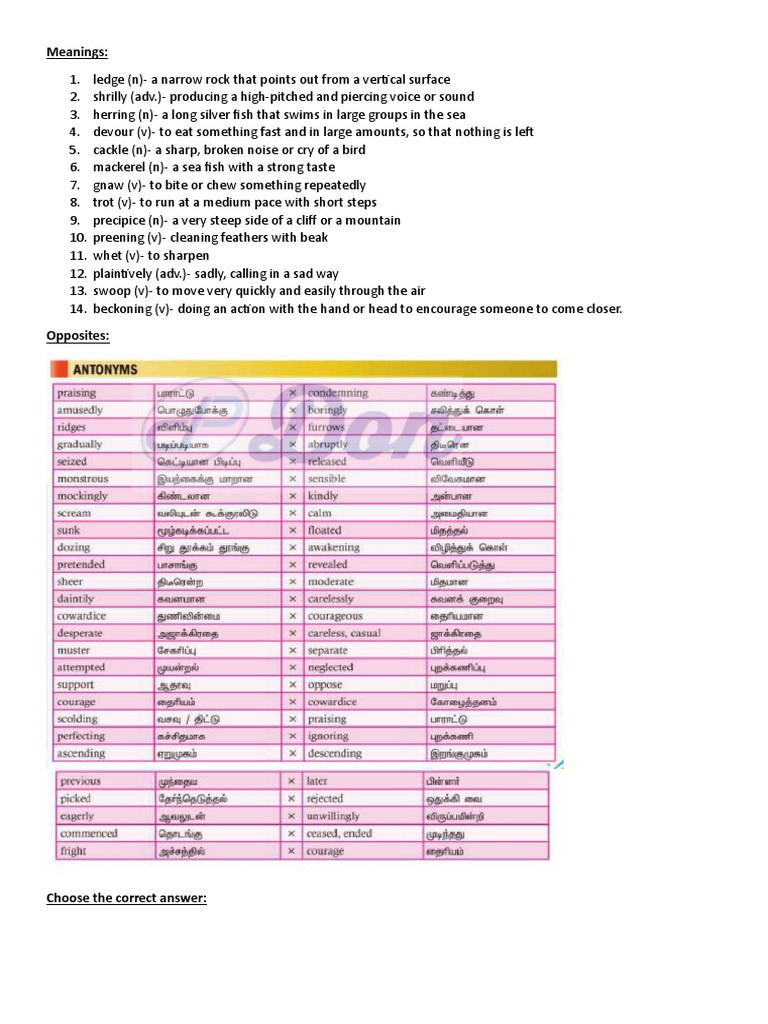 His First Flight - Notes | PDF