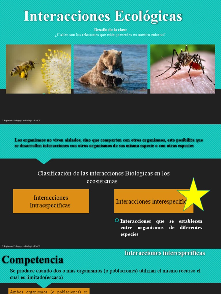 Interacciones Ecológicas en Ecosistemas | PDF | Parasitismo | Biología