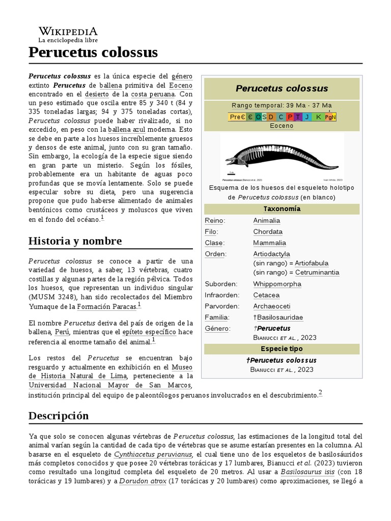 Perucetus colossus: La ballena gigante del Eoceno | PDF | Esqueleto ...