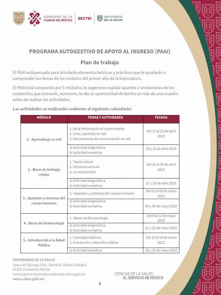 1.2 Plan de Trabajo PAAI | PDF