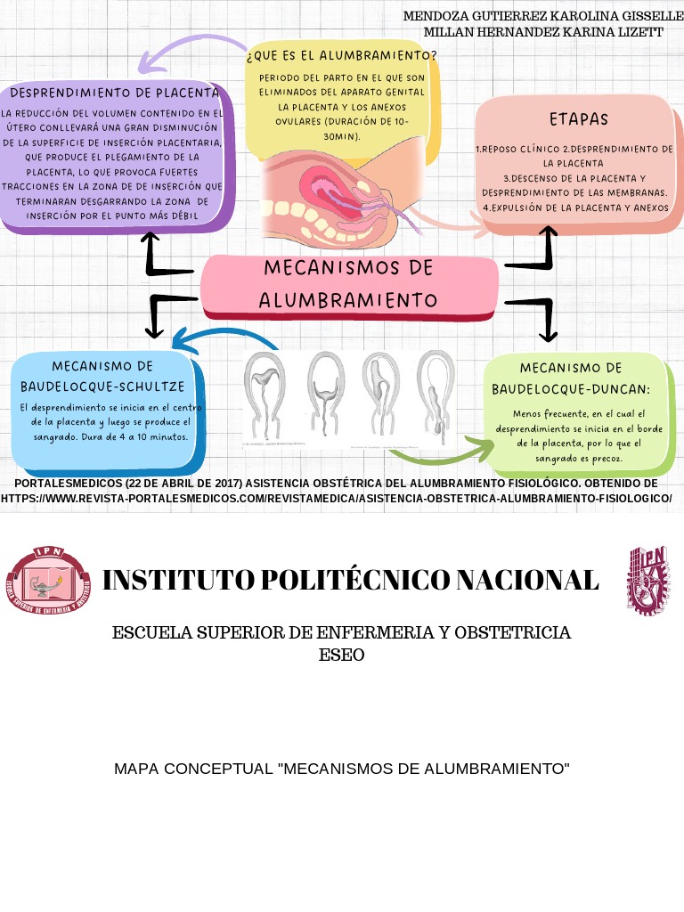 Mapa Conceptual Mecanismos de Alumbramiento | PDF | Parto | Placenta