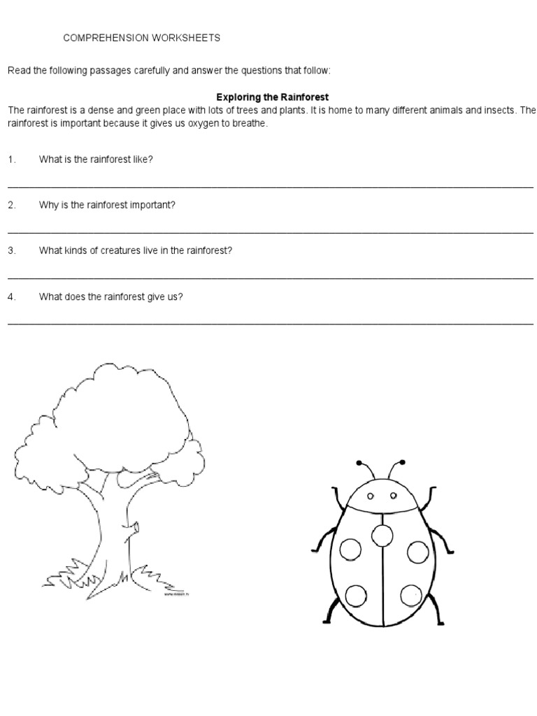 Comprehension Worksheet | PDF
