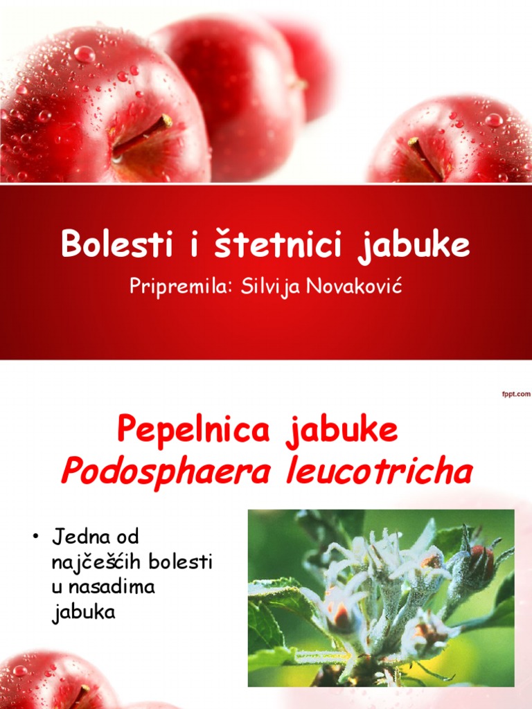 Bolesti Jabuke | PDF