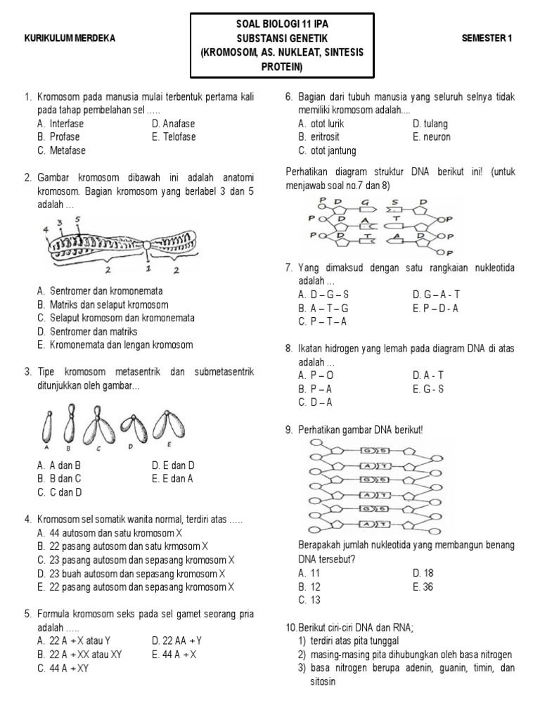 Soal Biologi 11 Ipa Kurmer - Substansi Genetik | PDF