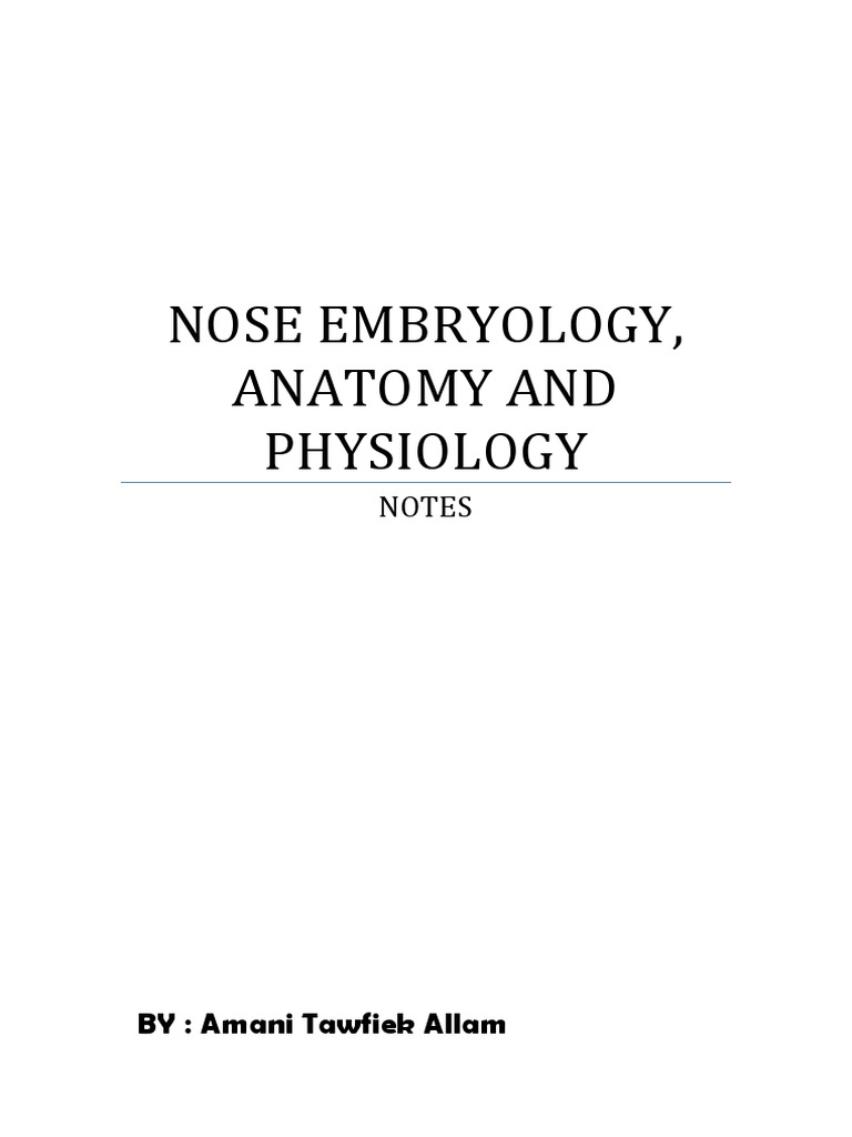 Nose Anatomy | PDF | Human Nose | Vein