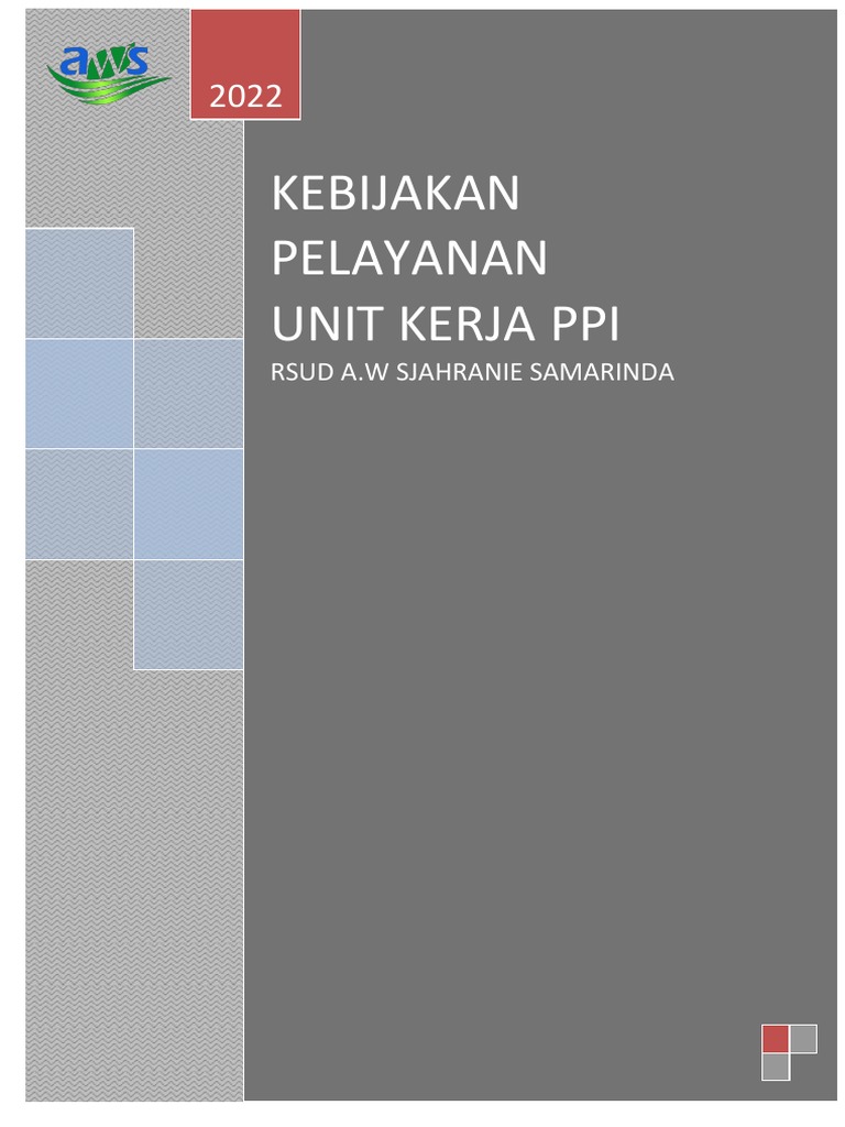 Kebijakan Pelayanan Ppi 2022 | PDF