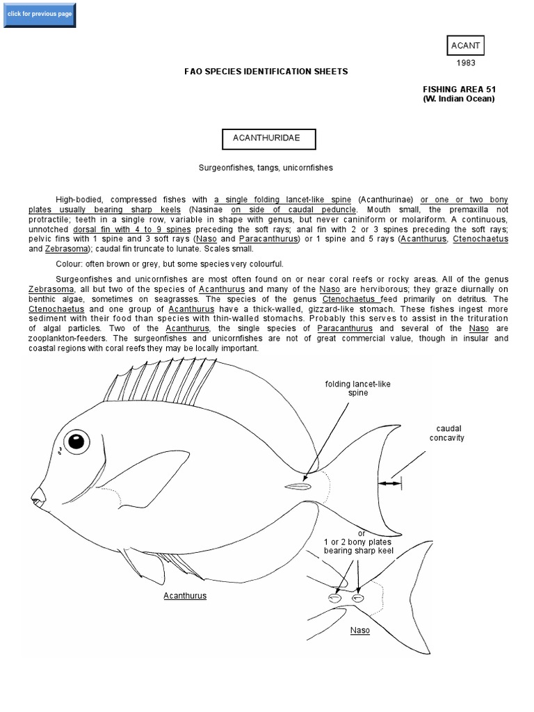 Fao Species Identification Sheets Fishing Area 51 (W. Indian Ocean) | PDF
