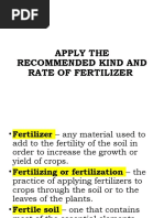 Apply Basal Fertilizer | PDF | Fertilizer | Soil