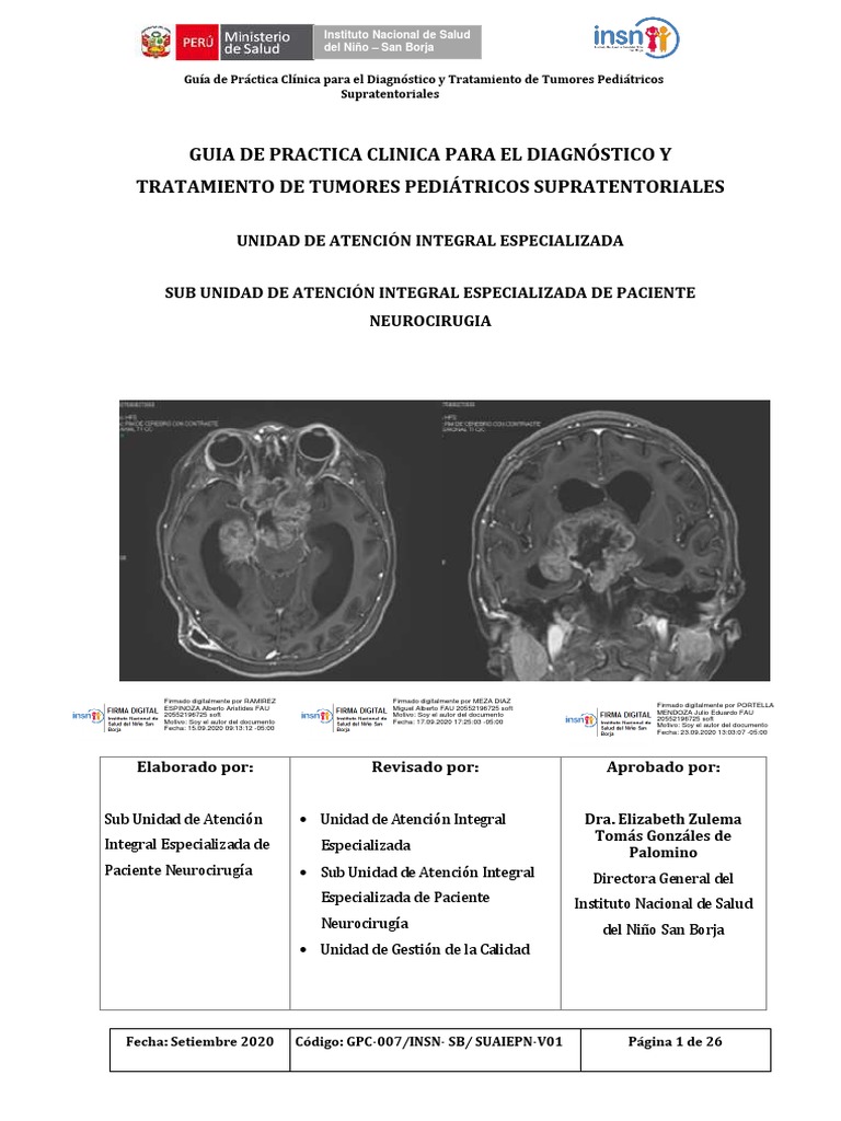 Guia de Practica Clinica Tumores Supratentoriales | PDF | Tumor ...