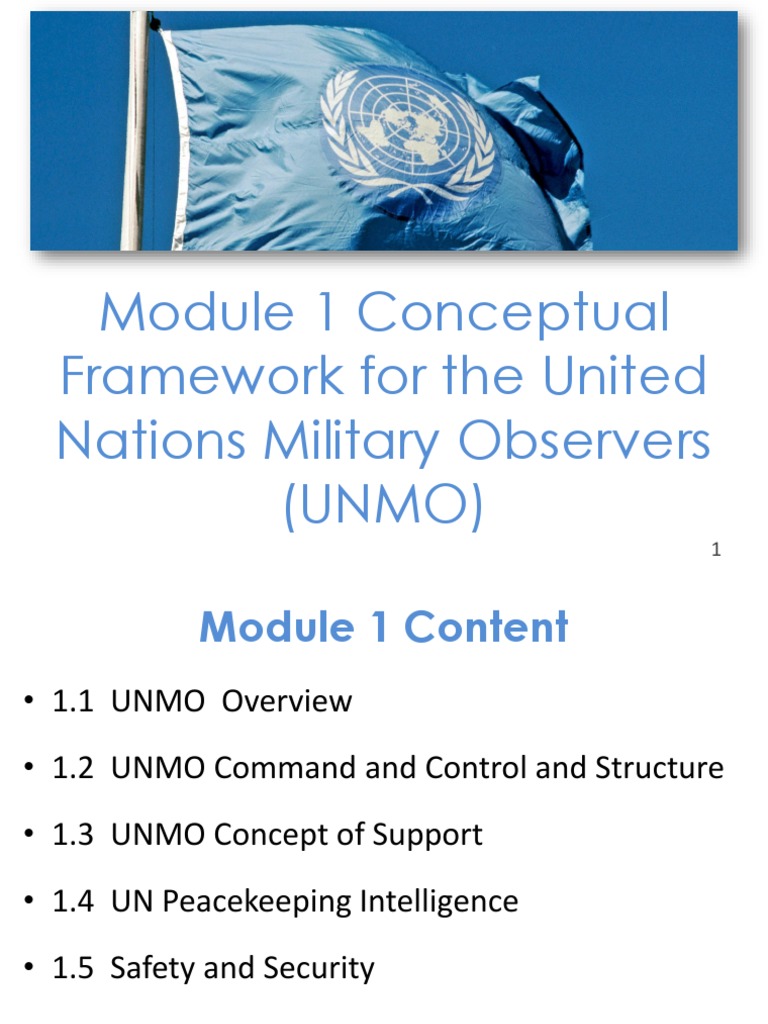 021-003 UNMO STM Lesson 1.1 | PDF