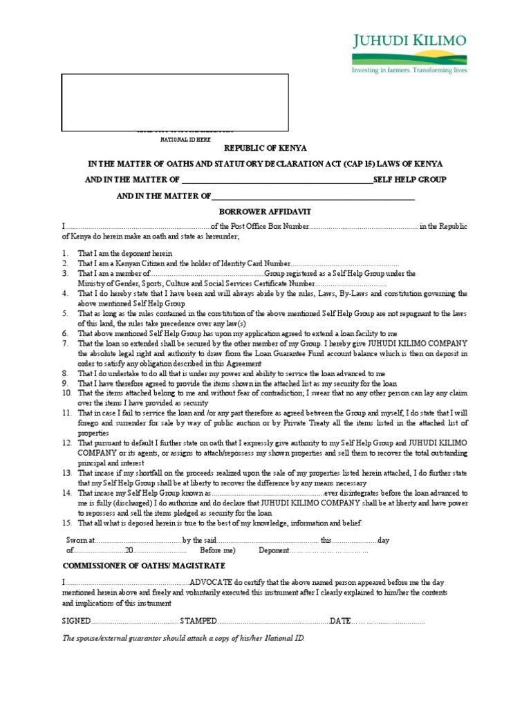 Affidavit - Amended - 2022 | PDF