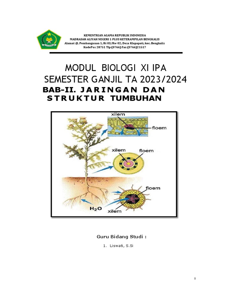 Modul 2 Jaringan Tumbuhan | PDF | Sains & Matematika