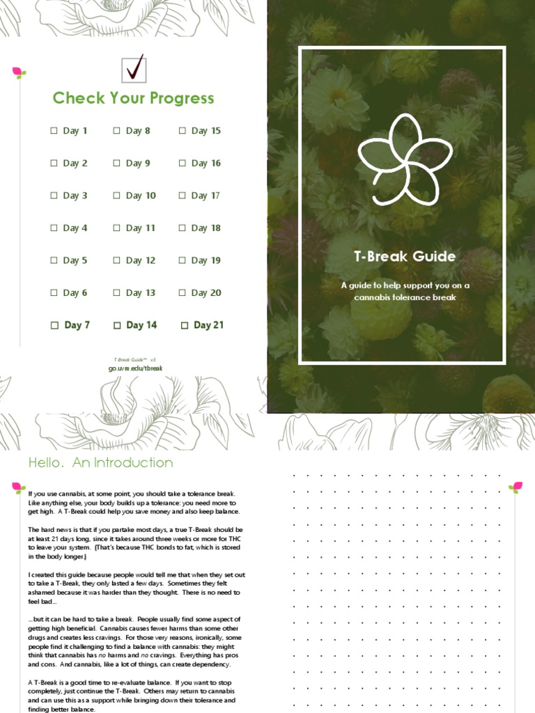 T-Break Guide (University of Vermont) | PDF | Sleep | Anxiety