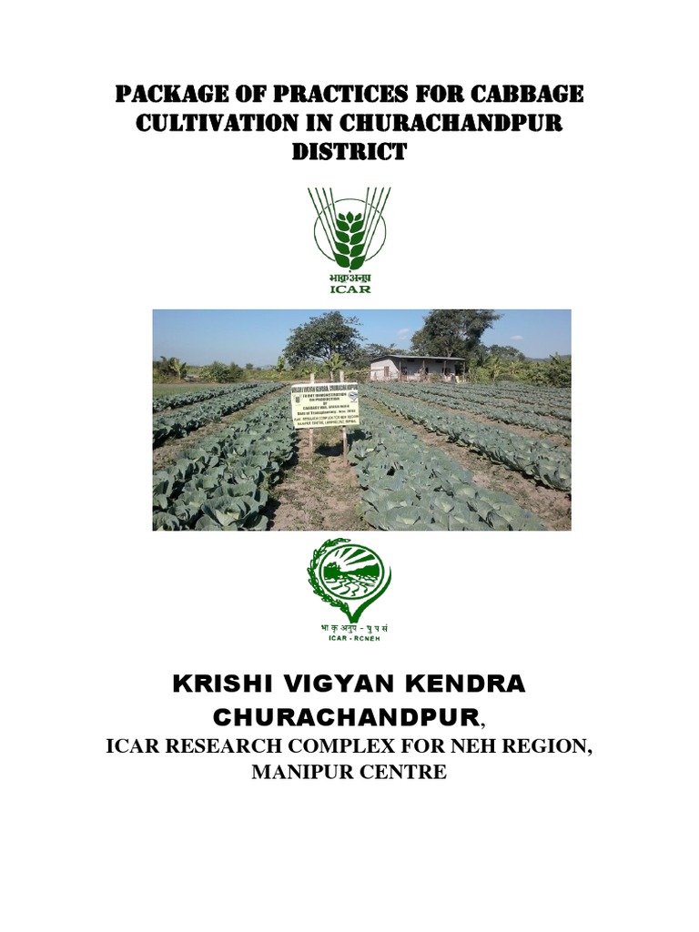 Package of Practices For Cabbage Cultivation in Churachandpur District ...
