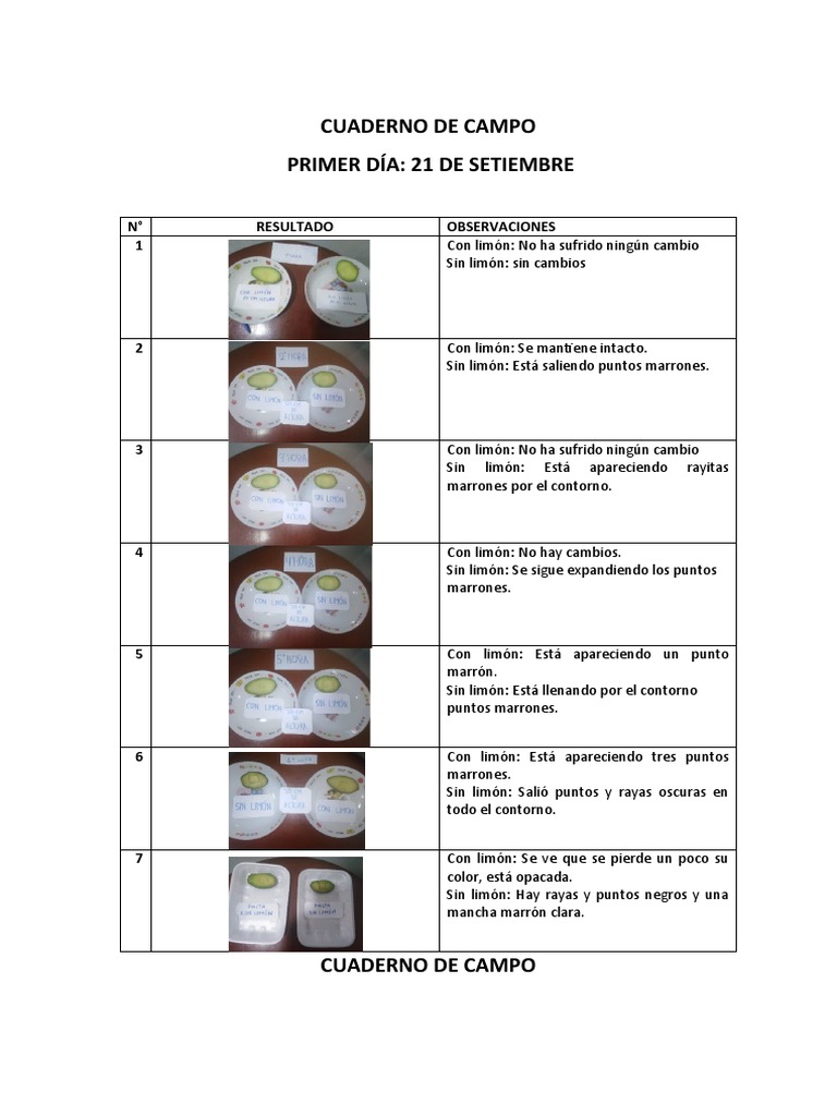 CUADERNO DE CAMPO | PDF