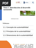 Infografia - Principios de Sustentabilidad | PDF | Sustentabilidad | Desarrollo sostenible